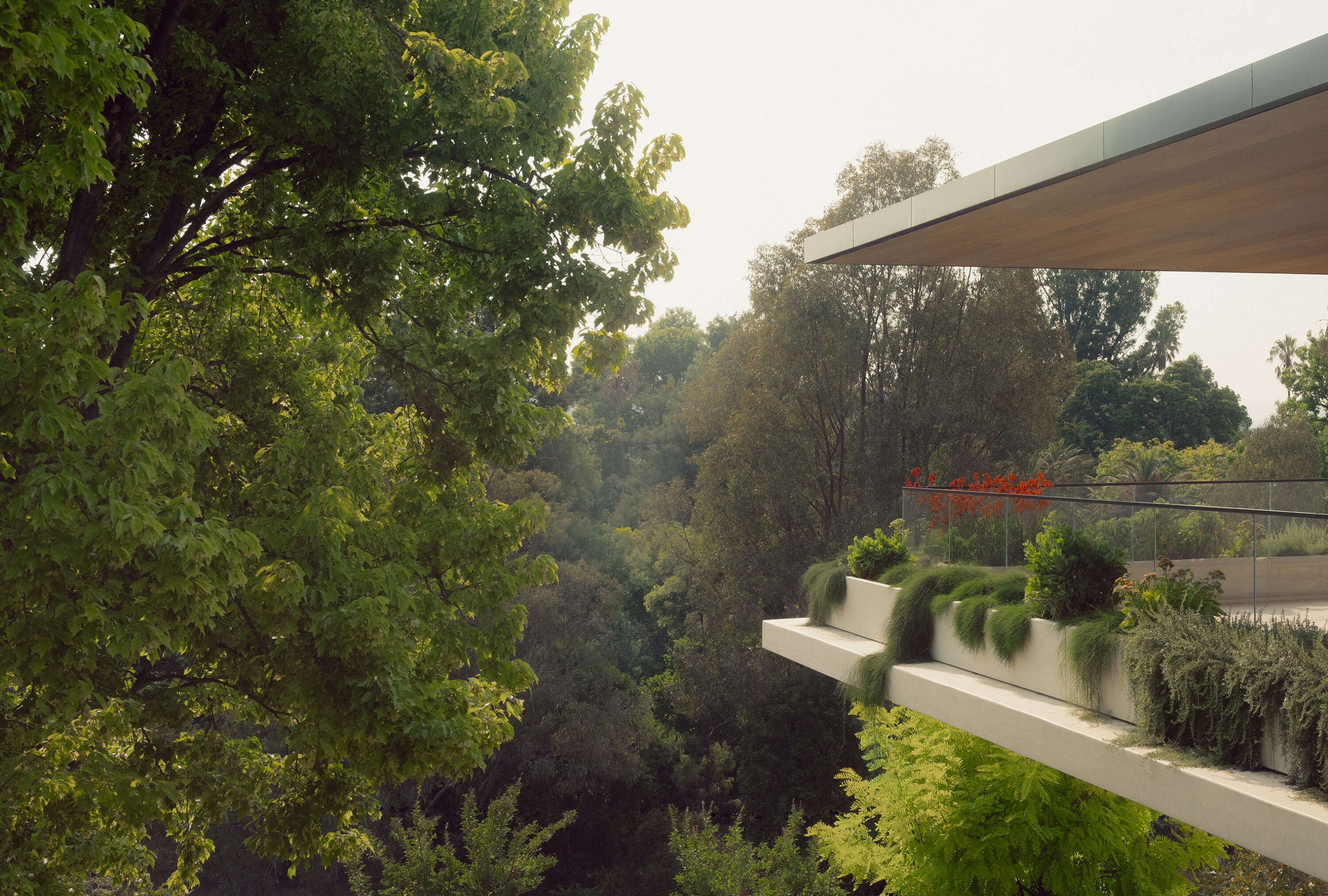 About us | About Us | Rob Mills Architects | Rob Mills