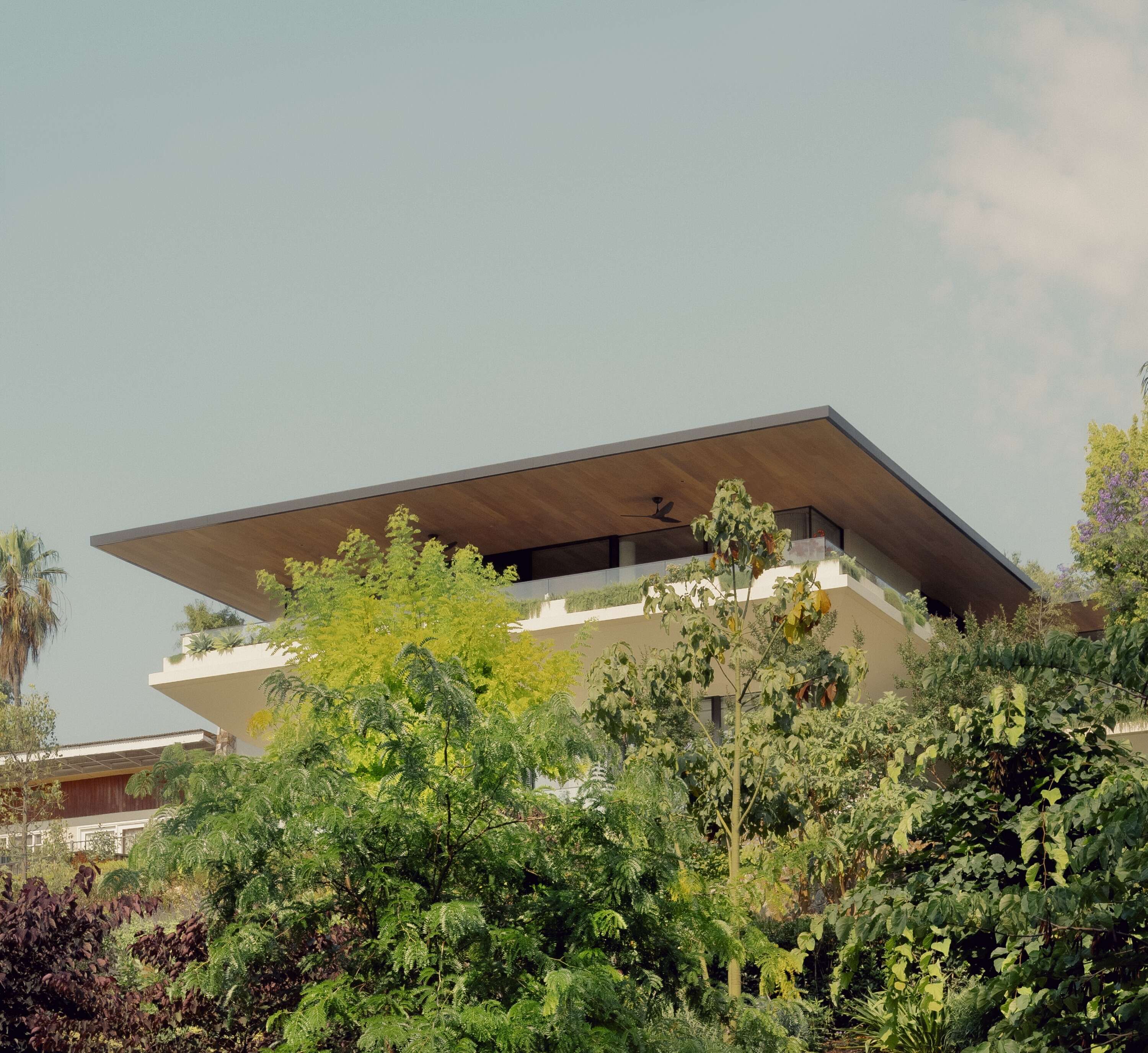 Hillside Residence | Portfolio | Rob Mills Architects | Rob Mills