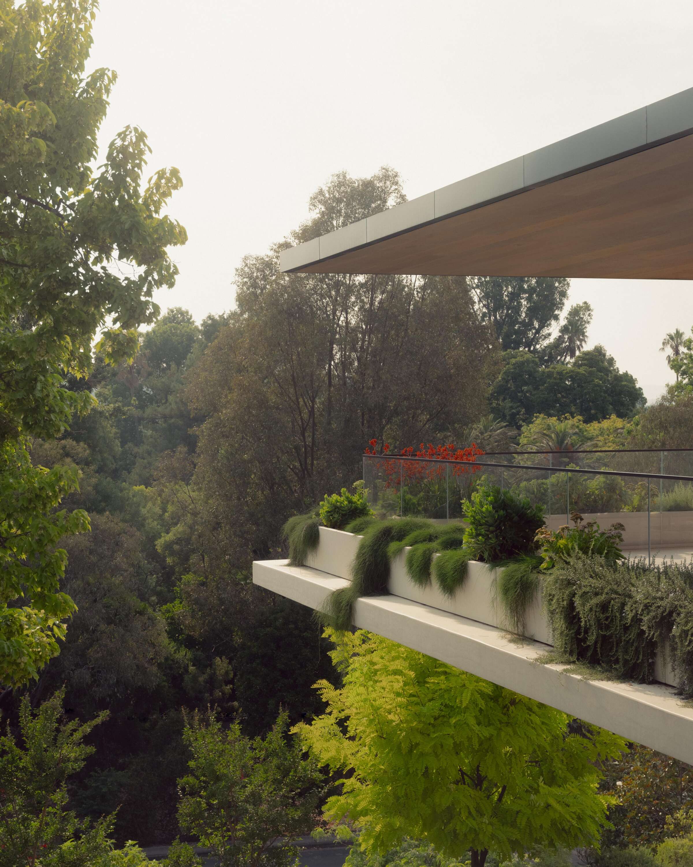 Hillside Residence | Portfolio | Rob Mills Architects | Rob Mills