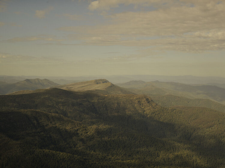 Howqua River Lodge | Portfolio | Rob Mills Architects | Rob Mills